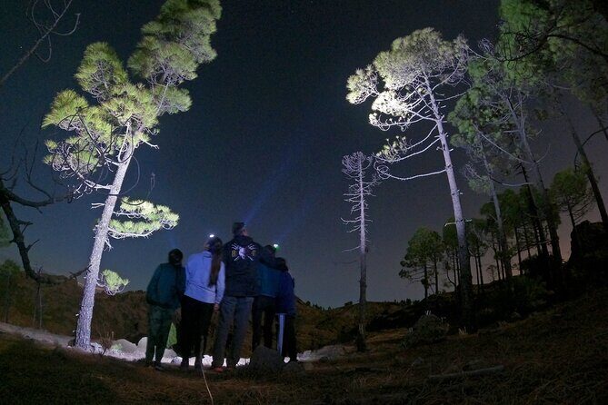 3-Hours Astronomy Hiking Experience in Roque Nublo Mountains