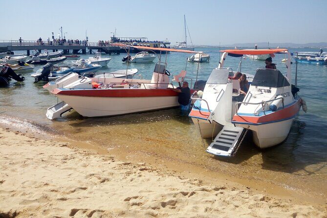 5 Hour Boat Tour in Ria Formosa - What It Feels Like to Take This Tour