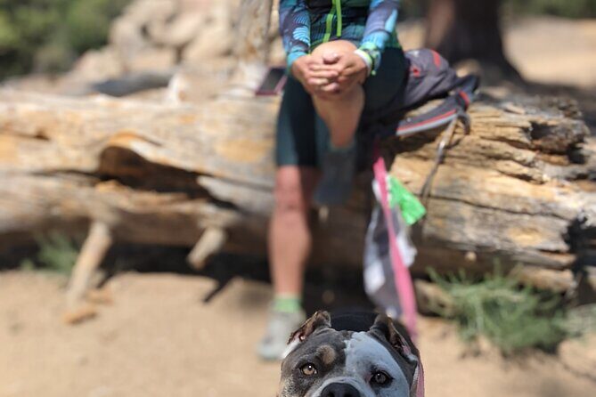 A Local's Favorite Hike in Big Bear with Lake Swimming Experience - The Value of the Experience