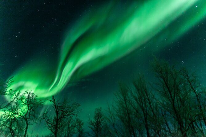 Abisko Northern Lights Tour with Photographer