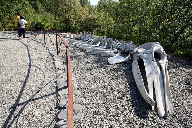 Alaska Native Heritage Center Admission Ticket - The Main Site: Native Dwellings & Demonstrations