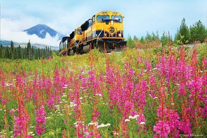 Alaska Railroad Denali to Fairbanks One Way - The Journey: A Visual Feast