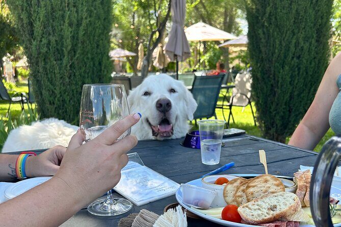 Alcantara Estate Vineyards Tasting Experience - Deep Dive: What You’ll Experience