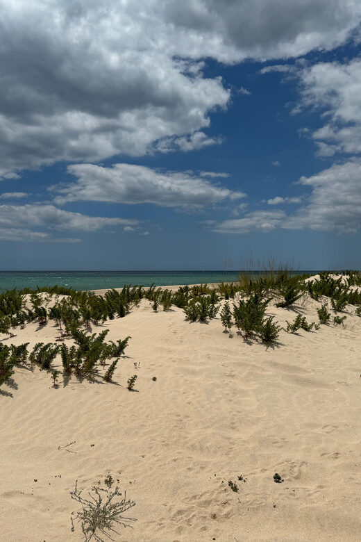 Algarve, Lisbon; V.I.P. Women's road trip with female guide - The Journey and Its Highlights
