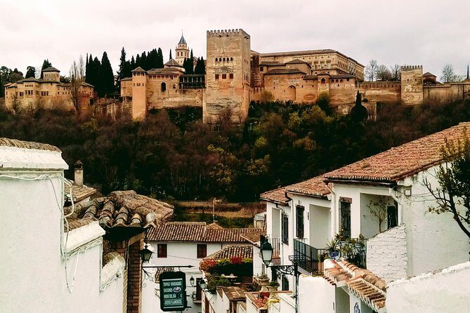 Alhambra and Granada City Center sightseeing tour!
