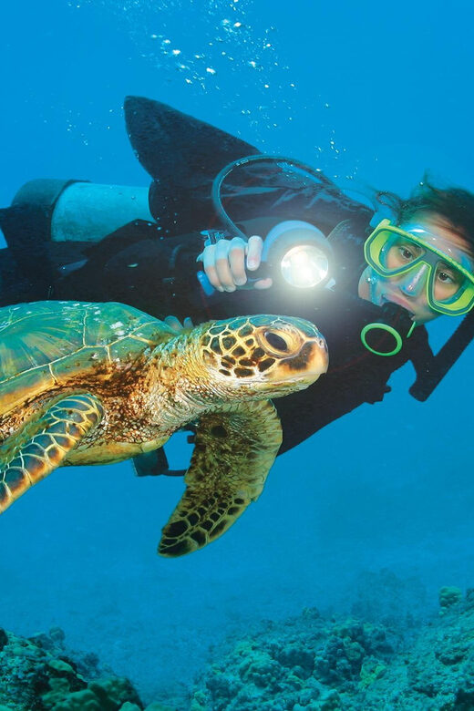 Antalya/ Belek Scuba Diving Tour With 2 Time Dive & Lunch