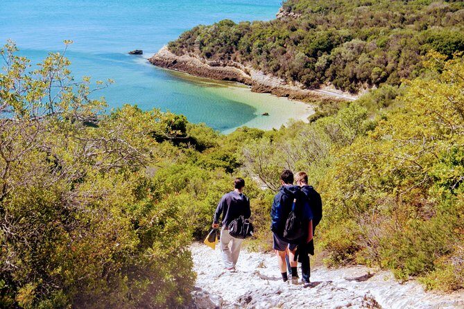 Arrábida Snorkeling Adventure with Transfer from Lisbon