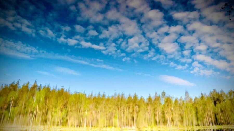 Awakening five senses in Finnish Nature (+traditional sauna)