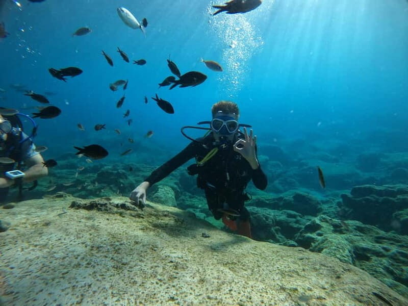 Ayia Napa: Beginners Discover Scuba Diving Experience
