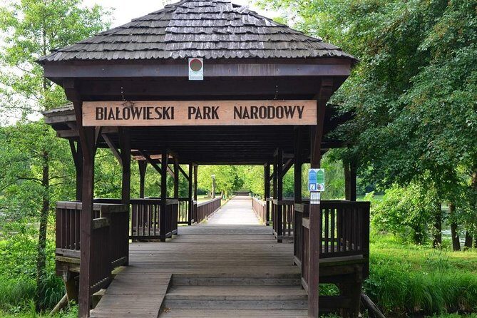 Bialowieza National Park Small Group Tour from Warsaw with Lunch included