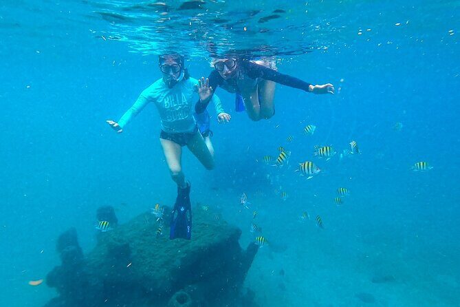 Blue Heron Bridge Guided Snorkel Tour - Practical Details to Know