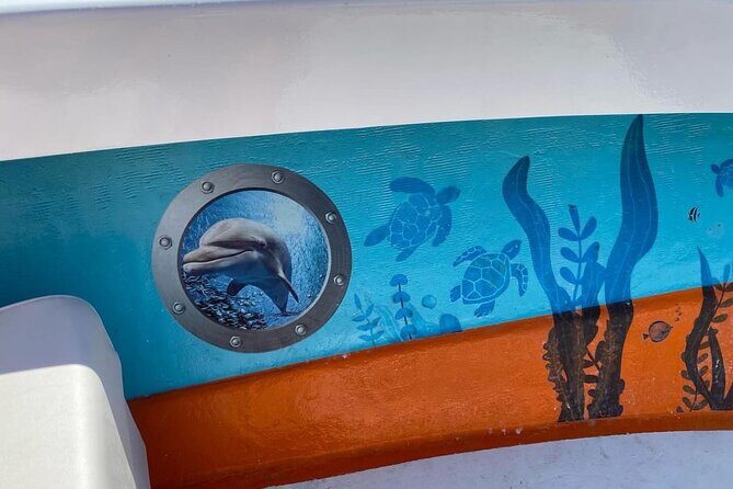 Boat Tour Experience Sea Life Up Close - What Sets This Tour Apart?