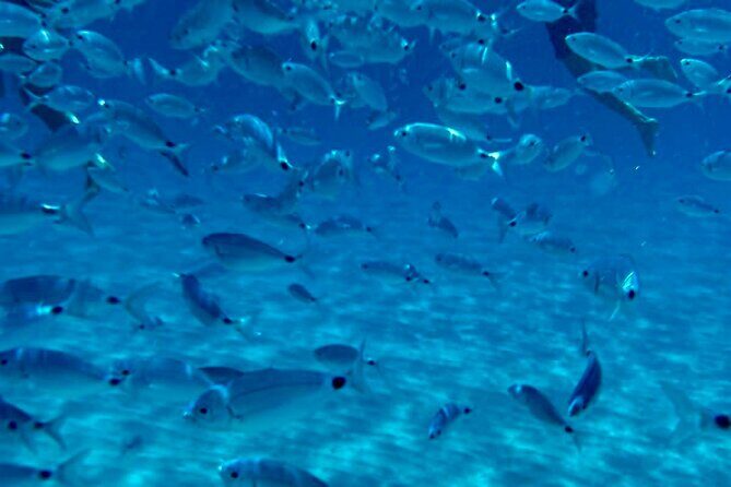 Boat Tour to Sella del Diavolo: Snorkeling, GoPro & Beer
