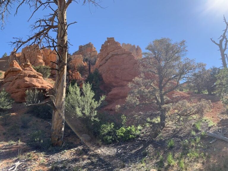 Bryce Canyon City: Horseback Riding Tour in Red Canyon - Why This Tour Works Well
