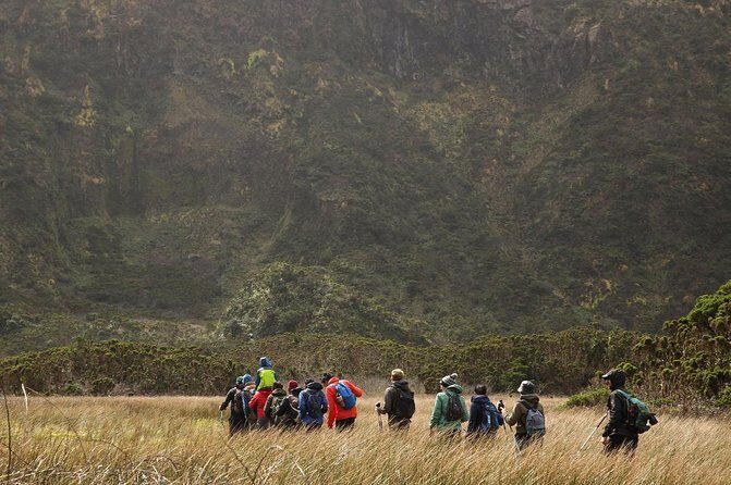 Caldeira do Faial Descent - private hiking tour