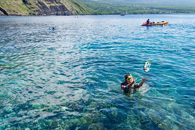 Captain Cook Snorkel On A Power Catamaran With Lunch - Who Should Book This Tour?