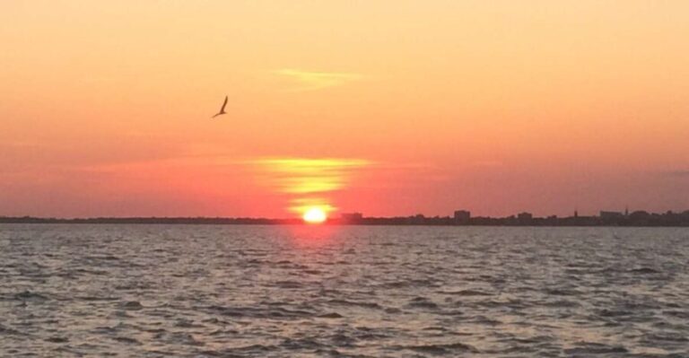 Charleston: Sunset Harbor Cruise - Who Would Benefit Most?