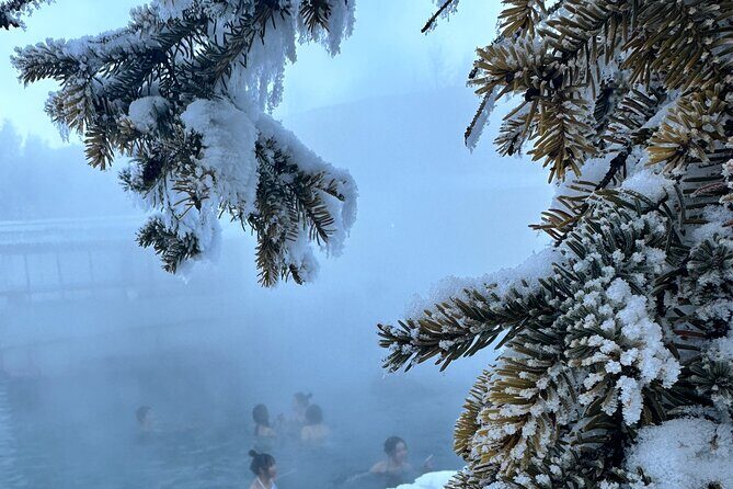 Chena Hot Spring Day Tour - Analyzing the Value and Who Should Consider This Tour