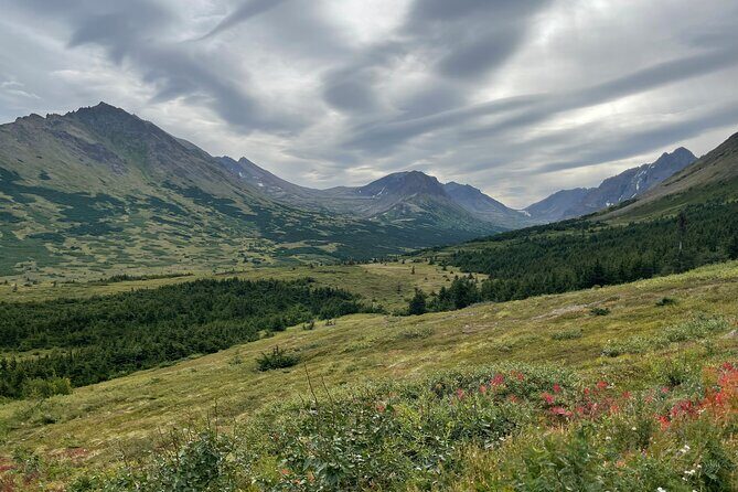 Chugach State Park Nature Walk - What Travelers Say About the Guide and Experience