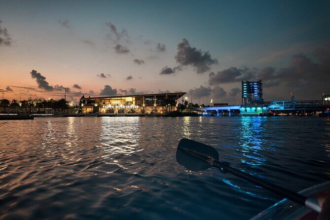 Clear Kayaking Glow Tour in Tampa Riverwalk - The Value of the Experience: Is it Worth the Price?
