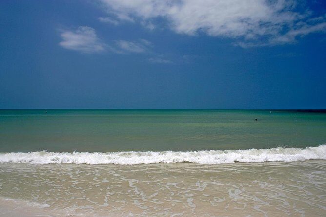 Clearwater Inshore Fishing Charter - The Practical Side: What You Need to Know