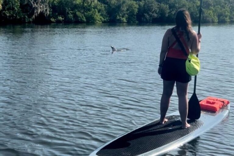 Cocoa Beach: Dolphin and Manatee Kayak or Paddle Tour - What to Expect from the Itinerary