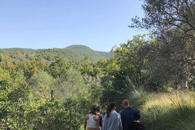 Cooking class in the countryside with Simona - An In-Depth Look at the Sicilian Countryside Cooking Class