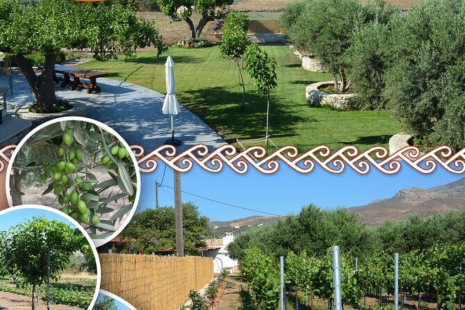 Cretan Traditional Cooking Lessons