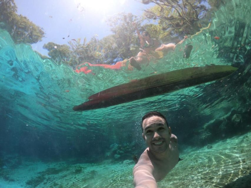 Crystal River: Paddle Board Rental - The Itinerary: What to Expect