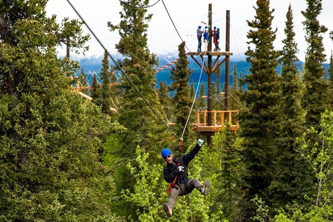 Denali Park Zipline Adventure - A Deep Dive into the Denali Zipline Experience