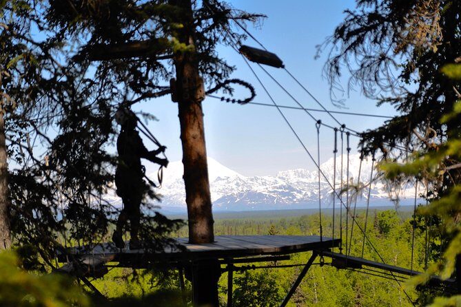 Denali Zipline Tour in Talkeetna, AK - Authentic Experiences & Guest Perspectives