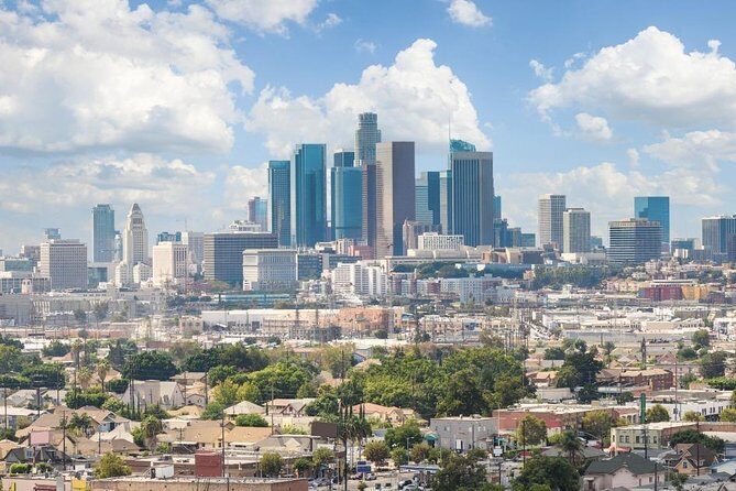 Departure Private Transfer: Anaheim Resort Area to LAX Airport - Analyzing the Value