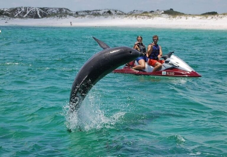 Destin: Crab Island Dolphin Watching Jet Ski Tour - An In-Depth Look at the Tour Experience