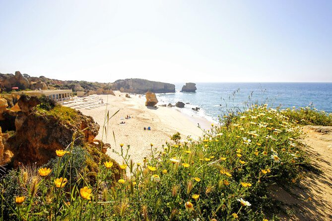 Discover Albufeira in a Tuk Tuk - The Itinerary in Detail