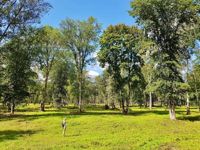 Discover Best of Sigulda and Gauja National Park In One Day