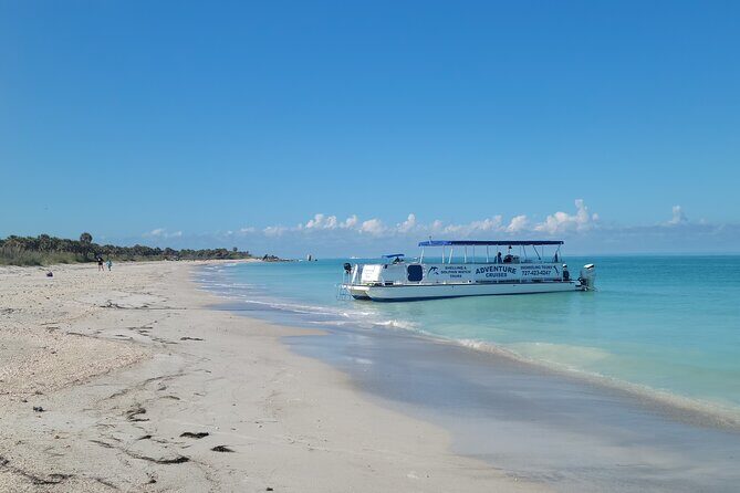 Dolphin /Shelling/Snorkeling tours Private Charters - Pricing and Value