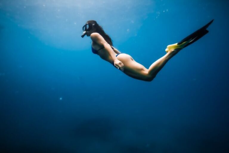 Dolphin Watch Snorkel and BBQ in Kona, Big Island - Detailed Breakdown of the Itinerary