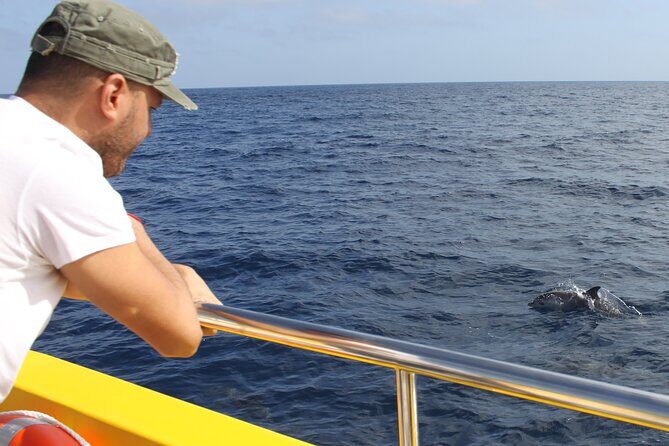 Dolphin Watching Mini Cruise and Snorkeling from Lanzarote