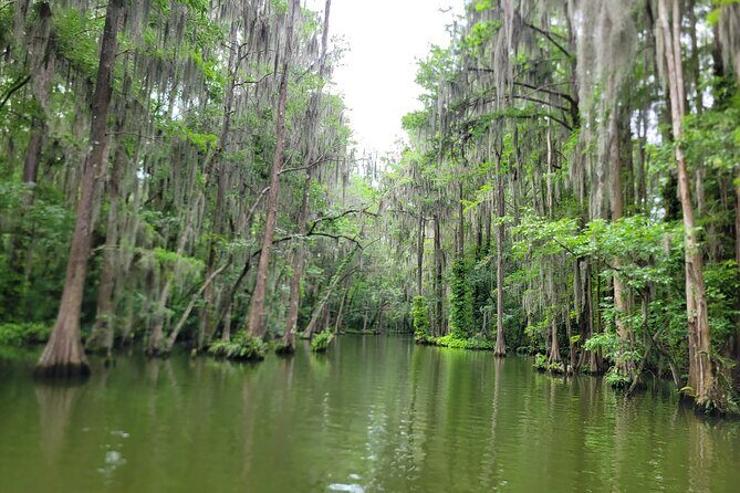 Dora Canal Half-Day Kayak and Paddle Board Rental Adventure - The Town of Tavares and Surroundings