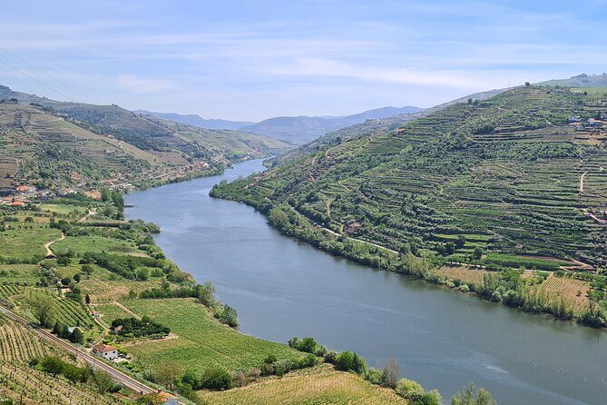 Douro Valley Private Tour (winery + boat + viewpoint)