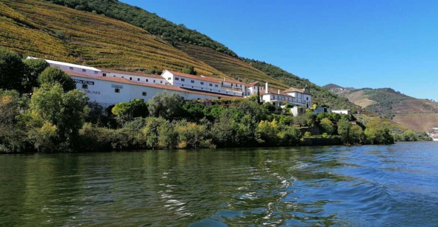 Douro Valley Winery Day Trip with River Cruise