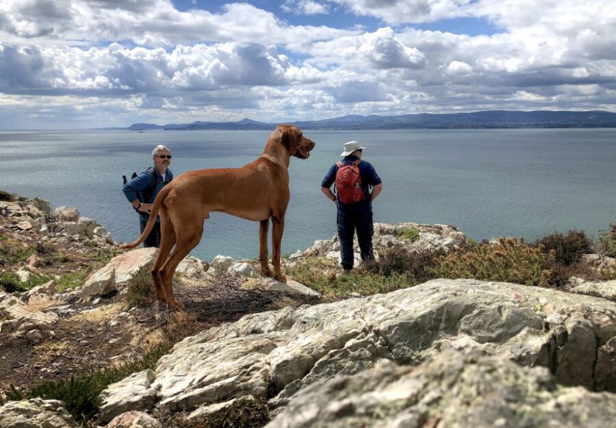 Dublin: Howth Coastal Hiking Tour