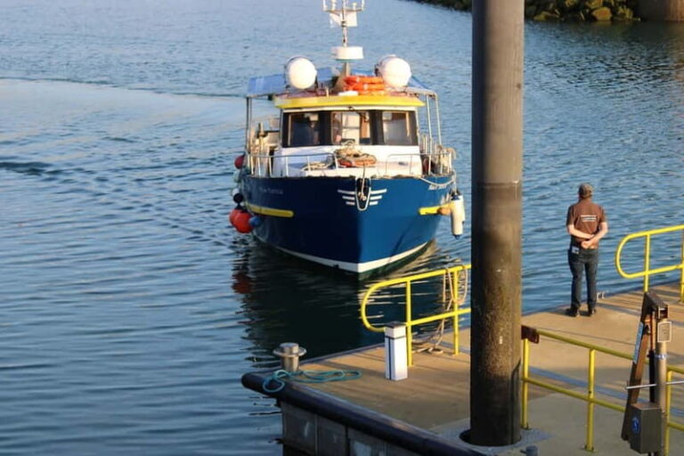 Dublin: Howth Cruise and Dine Experience - Who Would Enjoy This Tour?