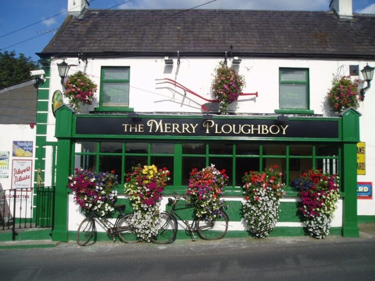 Dublin: Irish Night Show at the Merry Ploughboy Pub - The Value of This Experience