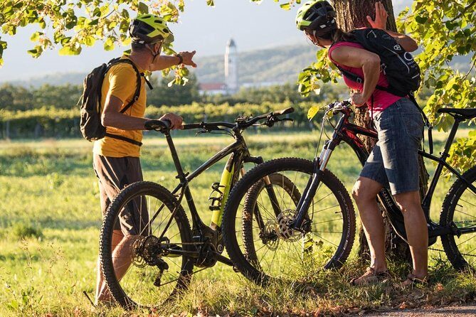 E-bike Vipava River Tour - The Sum Up
