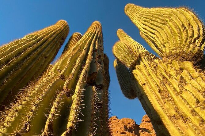 Epic Camelback Mountain Guided Hiking Adventure in Phoenix, Arizona - FAQs