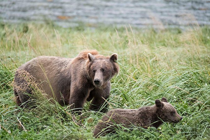 Exclusive Photography Tour Haines Departure - Why Choose This Tour?