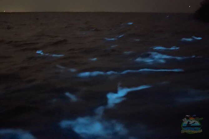 Florida Bioluminescence Clear Kayak tour/ Beacon 42 (Titusville) - The Real Experience: What You Can Expect