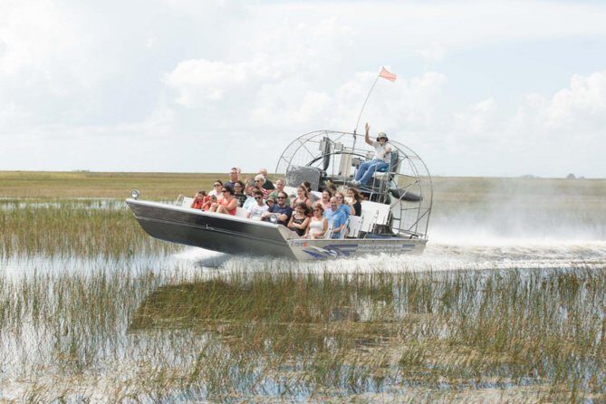 Florida Everglades Airboat Adventure and Wildlife Encounter - A Thorough Breakdown of the Experience