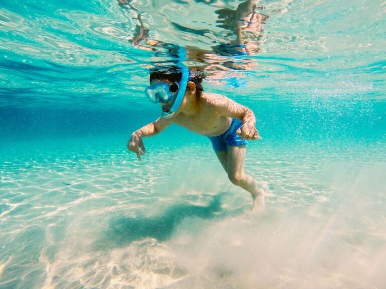Fort Walton Beach: Morning Dolphin Cruise with Snorkel Stop - The Itinerary in Detail